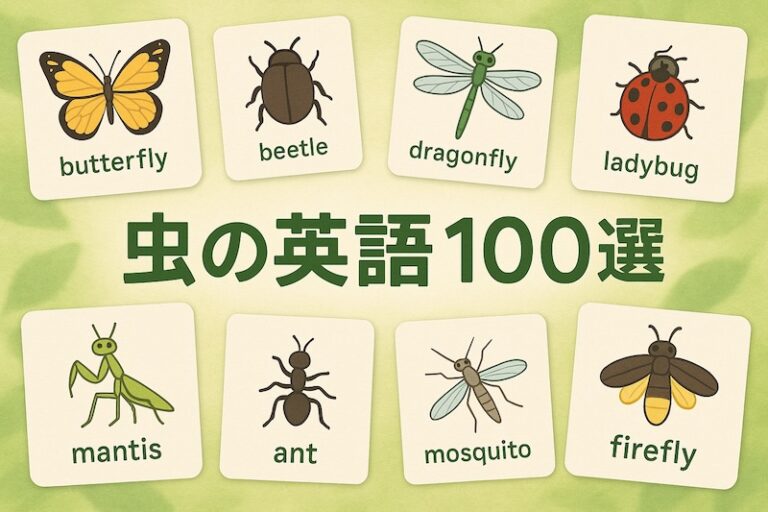 虫の英語100選｜身近な虫から珍しい昆虫まで一気に学ぼう！ | 英単語アプリTANZAM