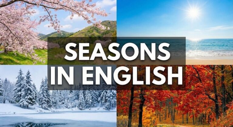 季節は英語で？春夏秋冬のスペル・読み方から前置詞のルールまで徹底解説 | 英単語アプリTANZAM