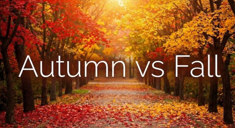 秋は英語でAutumn？Fall？違い・使い分けと「食欲の秋」の表現 | 英単語アプリTANZAM